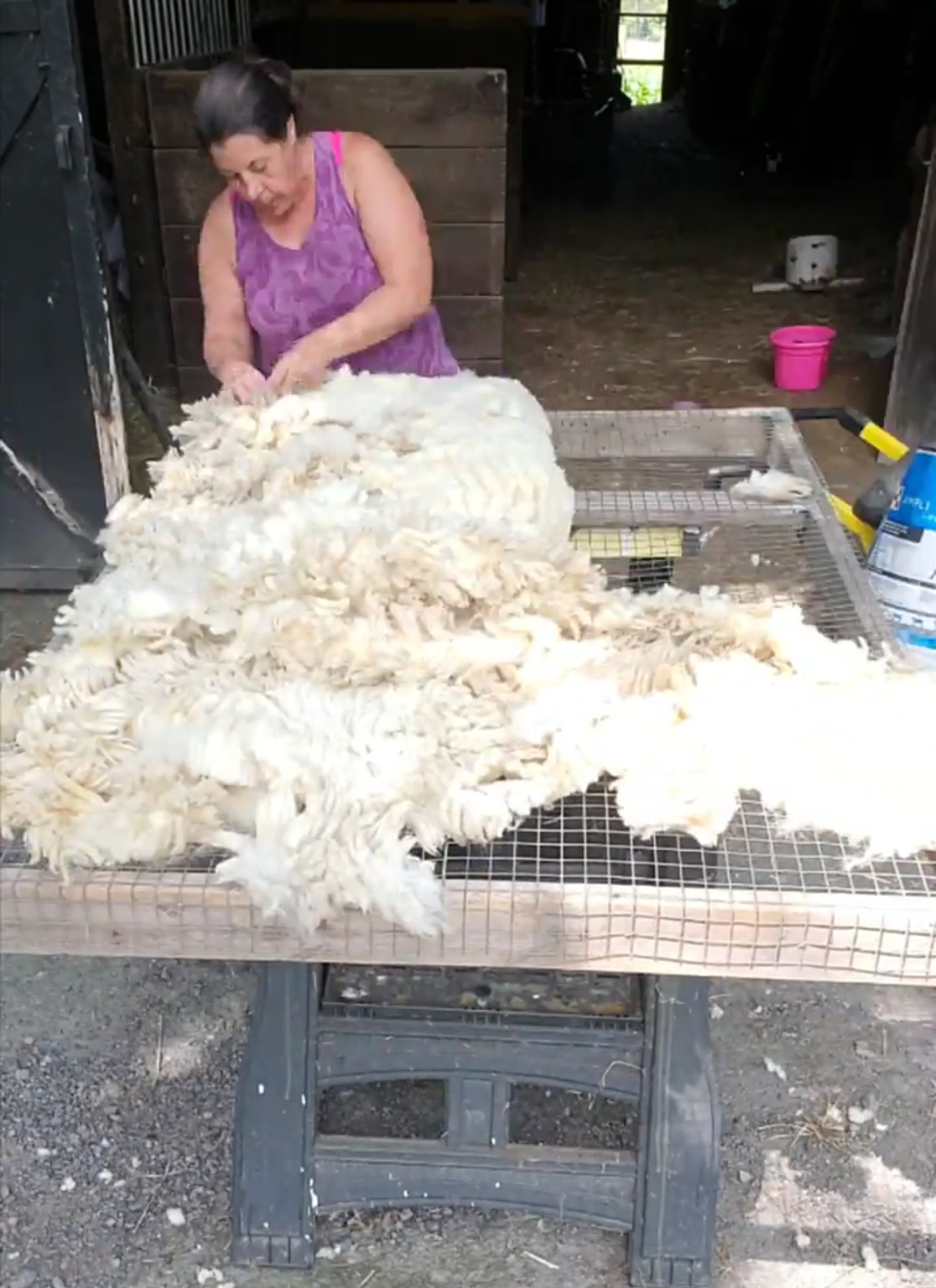 Now Offering Fleece Skirting Classes – Red Rope Farm